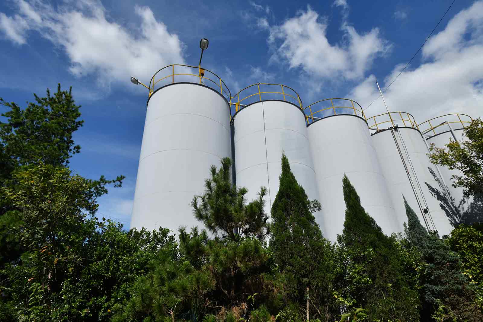 He’s Turning Taiwan’s Used Fast Food Restaurant Oil Into Biodiesel ...